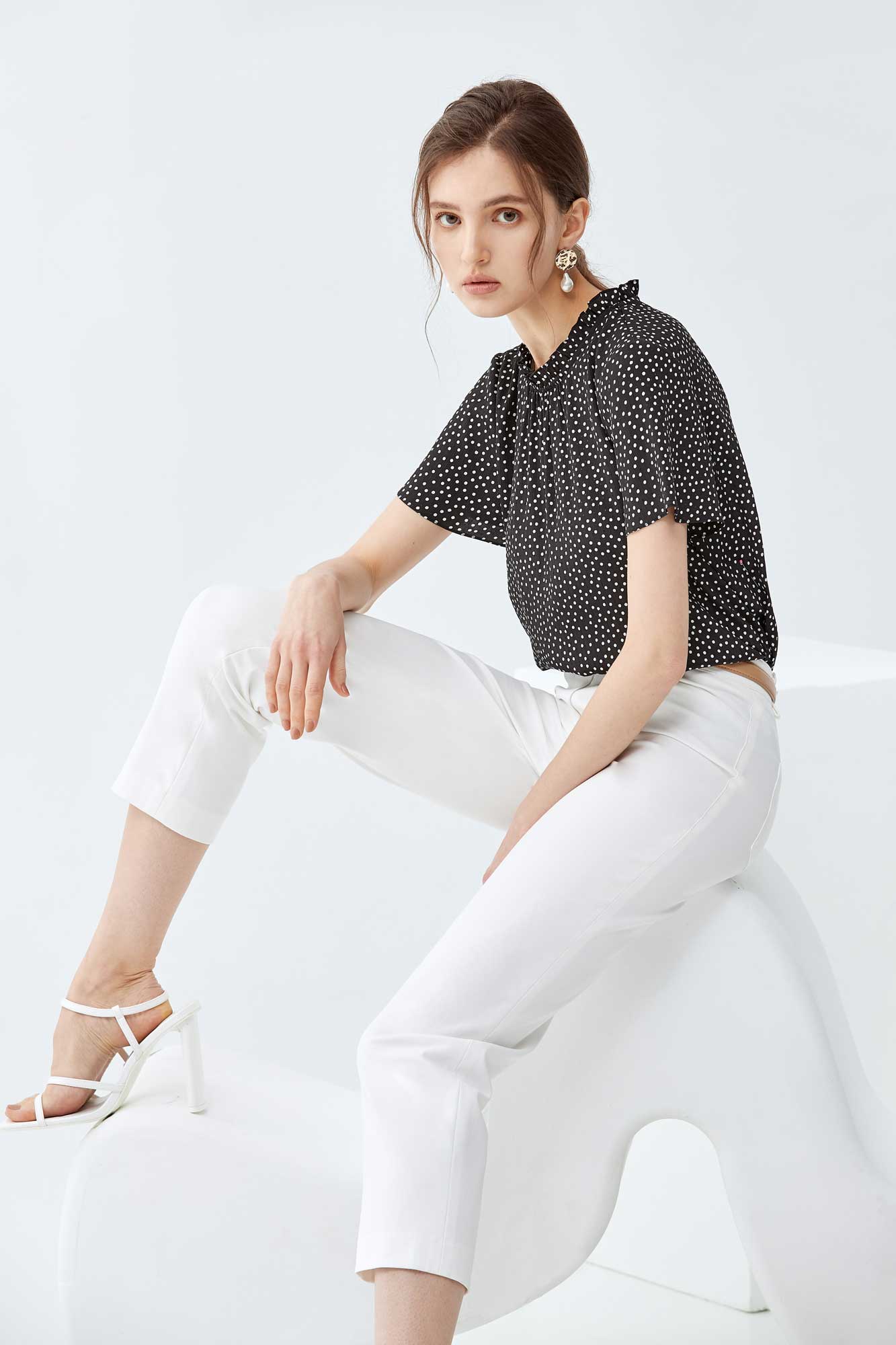 最新型錄 - Master Max